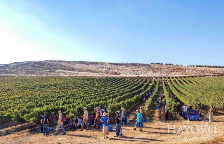 Hayovel et la Judée-Samarie – Shalom Israël